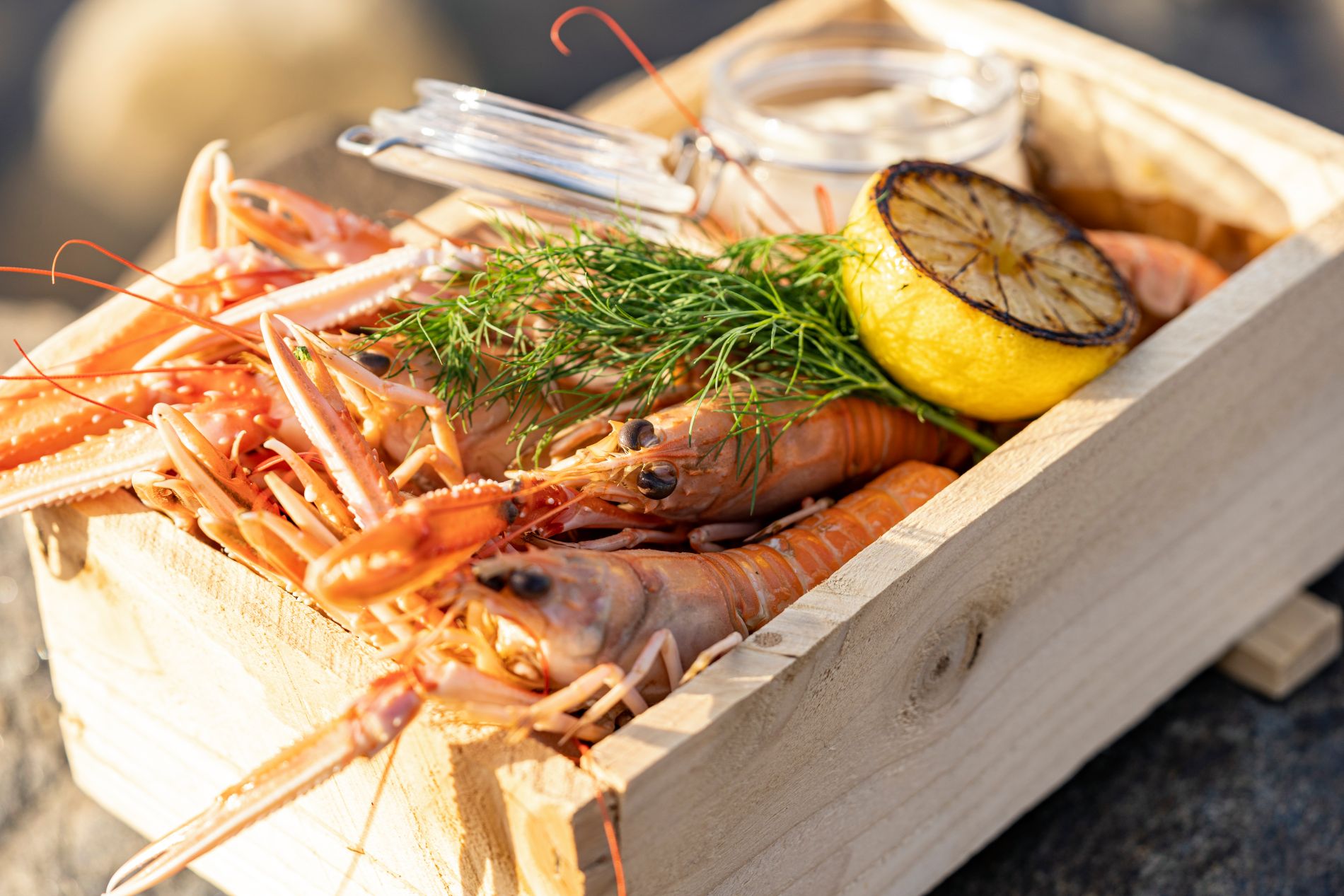 Öppettider Joels Brygga – Joels Brygga